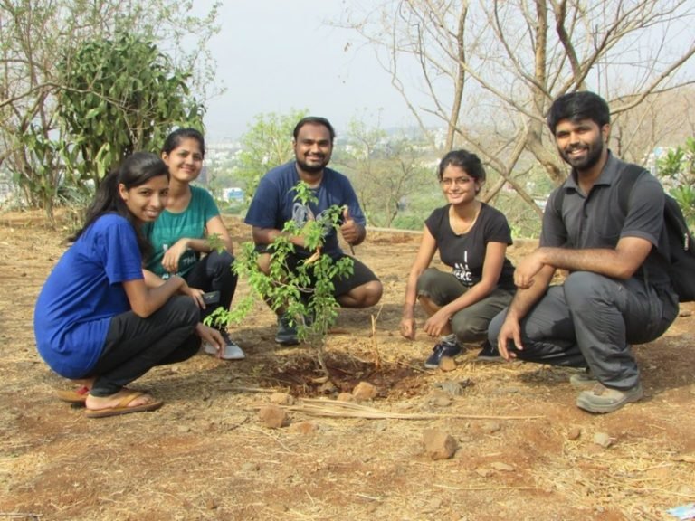 How Do Plants Help To Reduce Environmental Pollution?