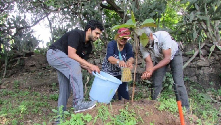 Why Everyday Should be a Tree Plantation Day