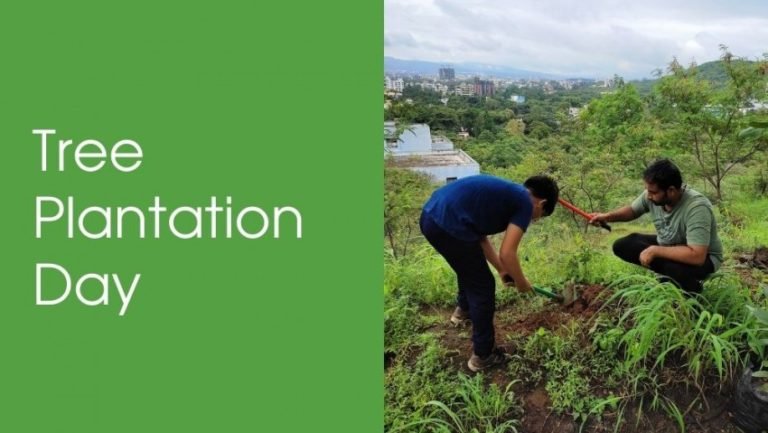 Why Every Day Should be a Tree Plantation Day