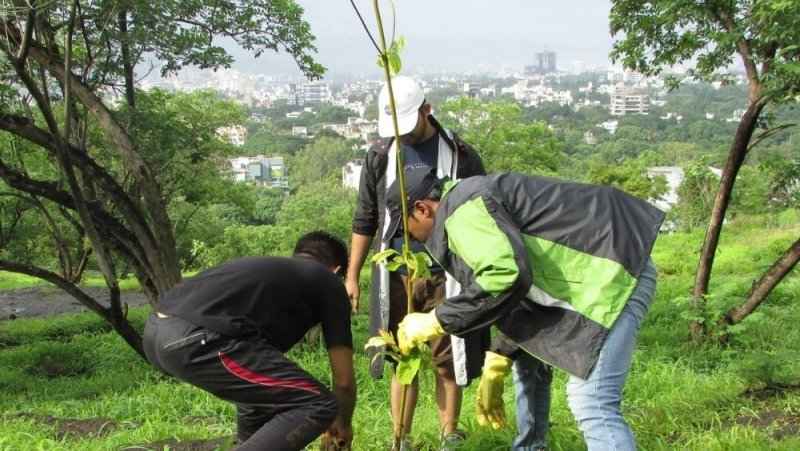All You Need To Know About Reforestation In India