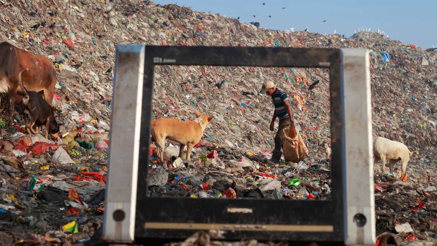 100 Shocking Facts About Pollution!