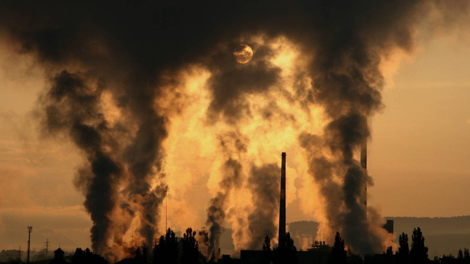 100 Shocking Facts About Pollution!