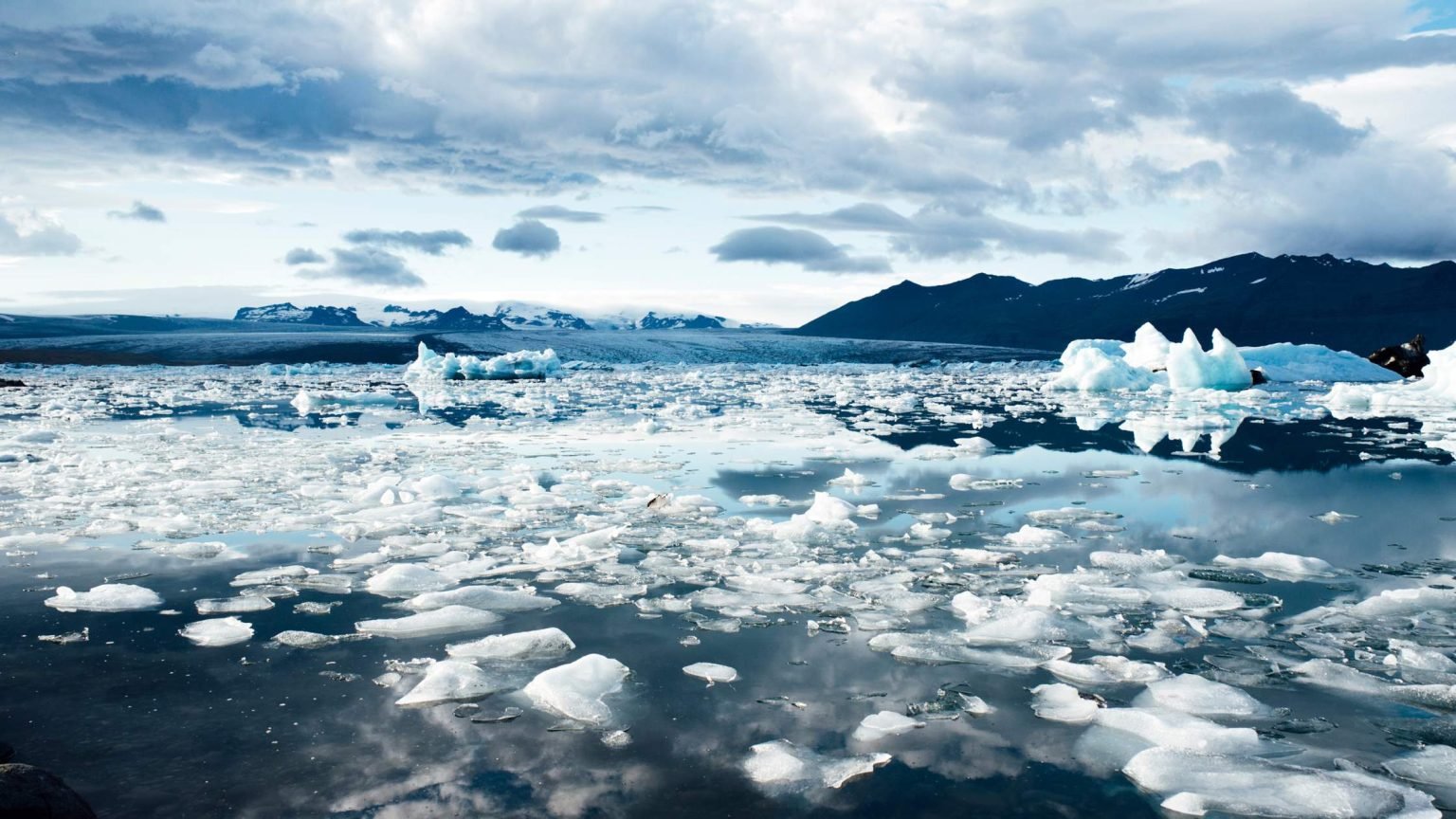 100 Shocking Facts About Pollution!