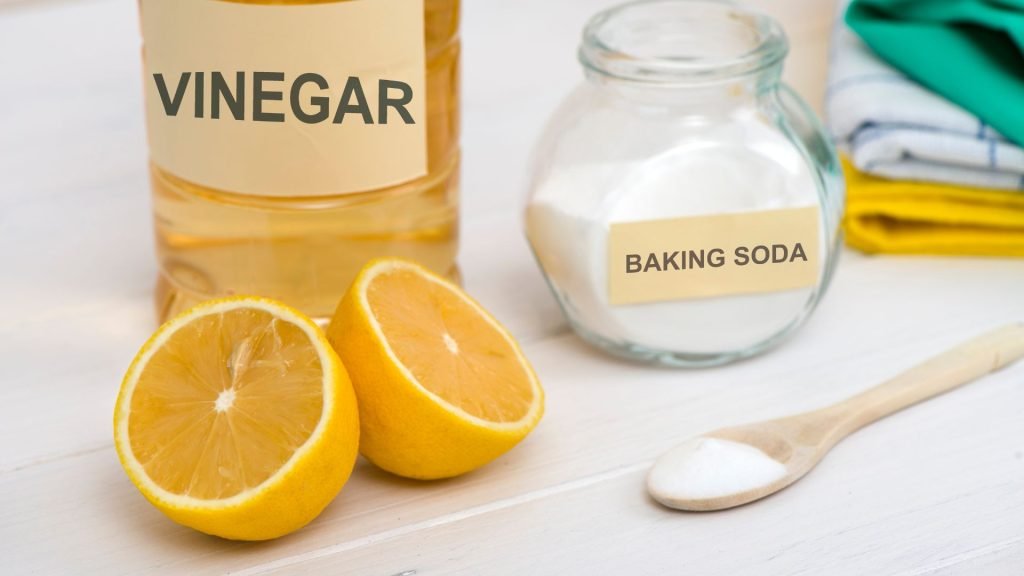 50 Sustainable Living Practices You Need In Your Daily Life!
