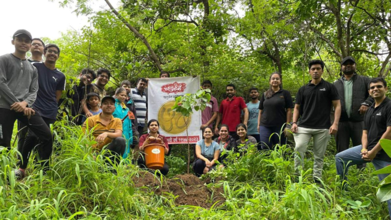 Is Reforestation or Afforestation Better for India?