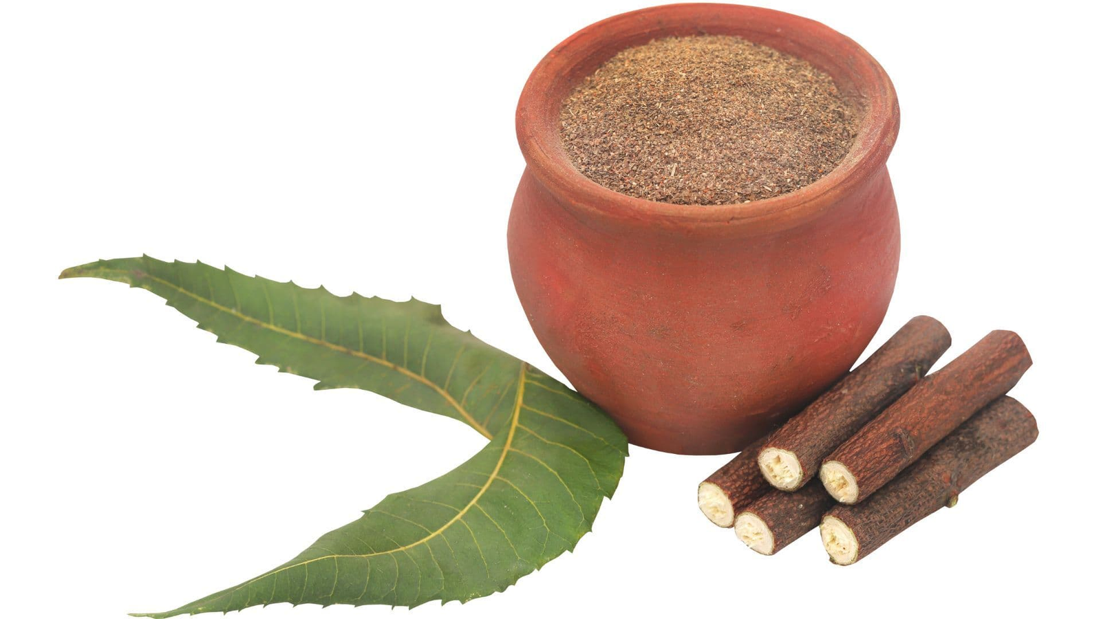 Neem Tree: 'The Pharmacy Tree' of Ayurveda and Folk medicine