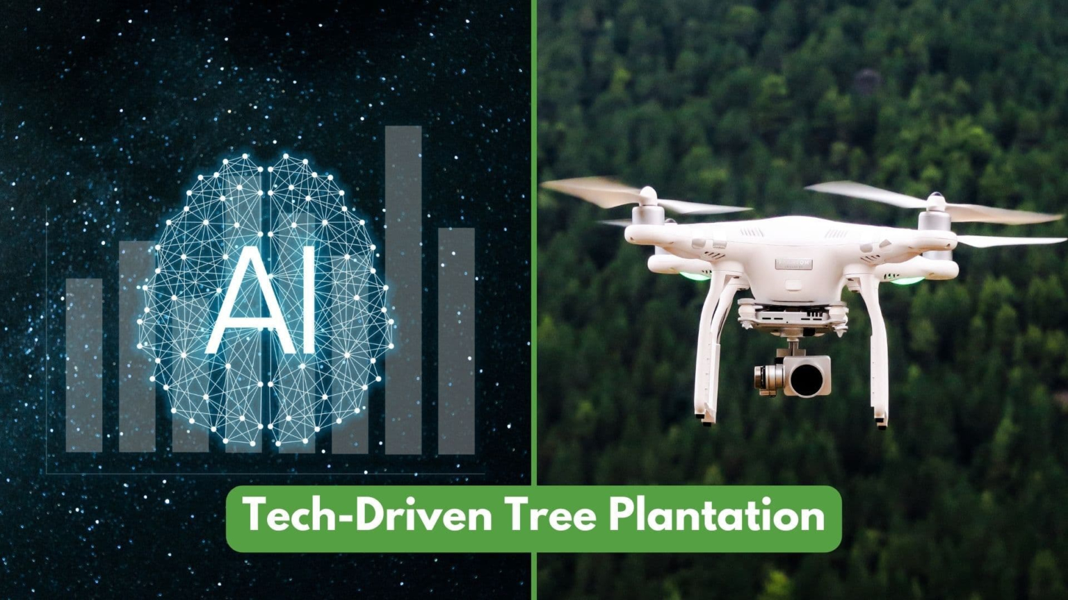 The Role of AI and Drones in Tech-Driven Tree Plantation