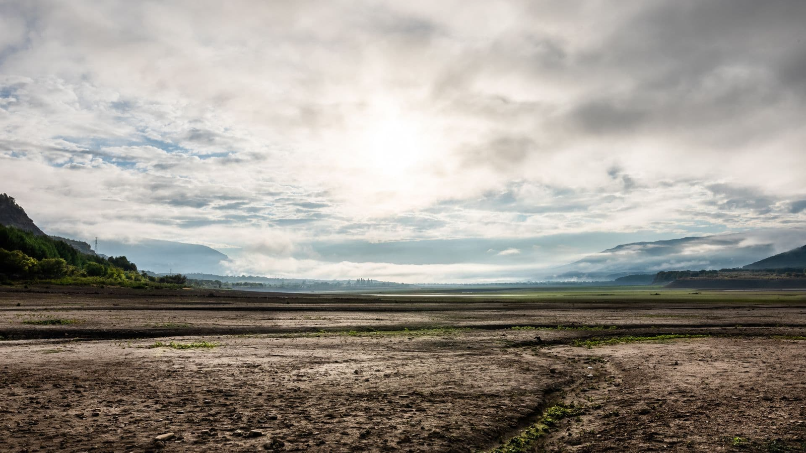 30 Effects of Deforestation in India leading to Rising Heat Levels