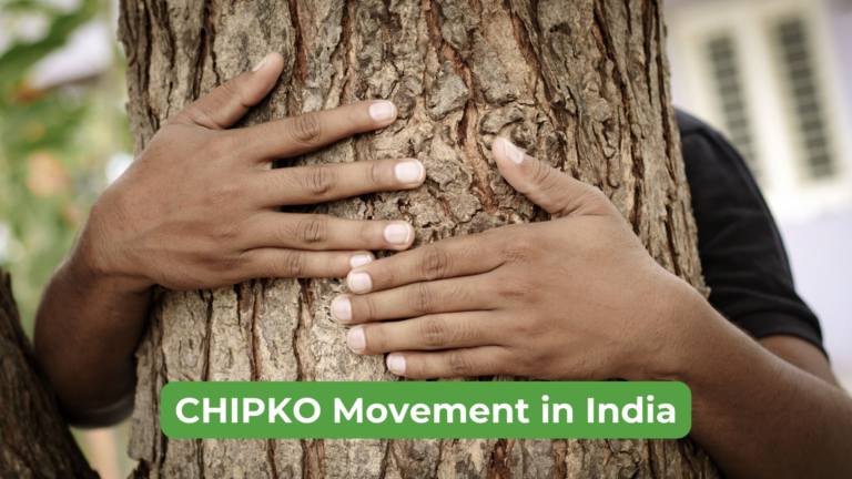 The Power of Unity: The CHIPKO Movement in India