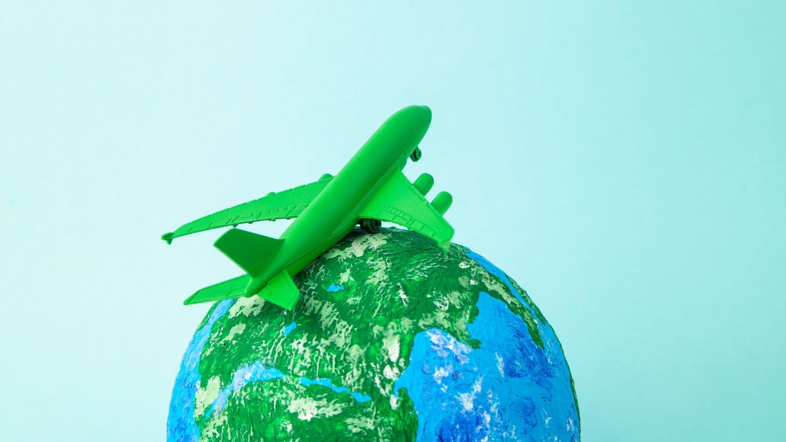 24 Best Practices for Sustainable Tourism in Indian Forests